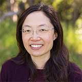 Researchers develop nanoparticle-phage therapy to kill bacteria – UCLA